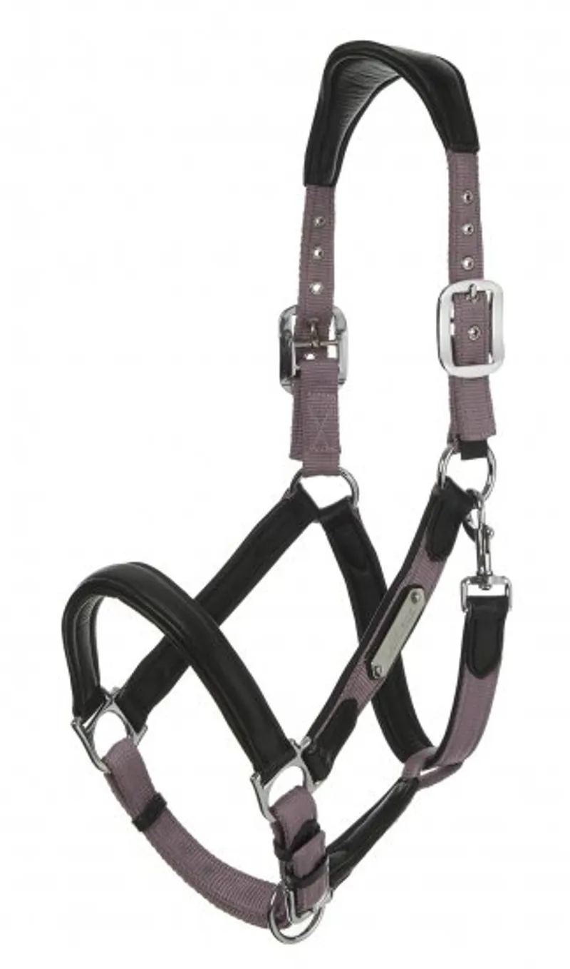 LeMieux Capella Leather Headcollar - Musk