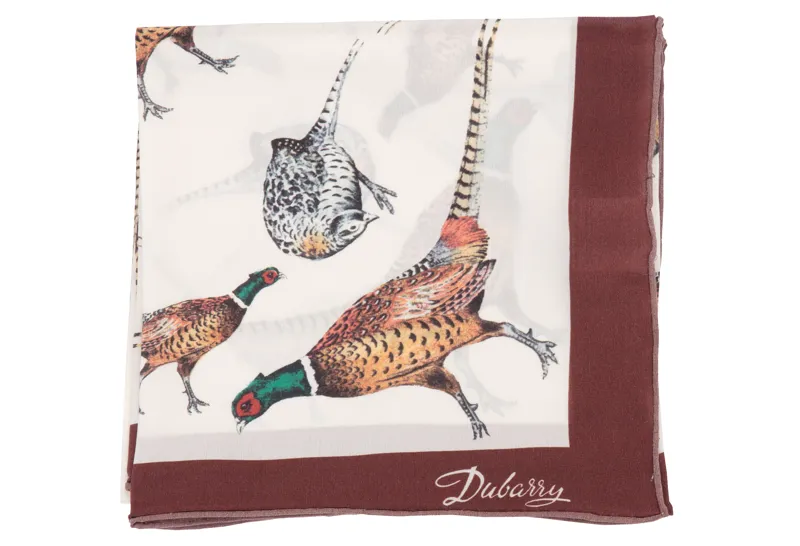 Dubarry Tullynally Ladies Silk Scarf - Pheasant